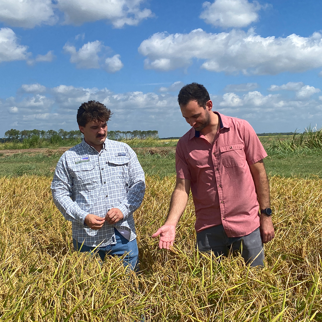 The Mosaic Company Foundation for Sustainable Food Systems